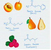 Esters: Nature's Parfumerie | American Council on Science and Health
