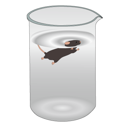 How Mice Help Discover New Anti-Depressants | American Council on ...