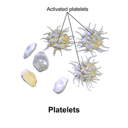 Innovative Use Of Platelets Could Improve Early Lung Cancer Detection ...