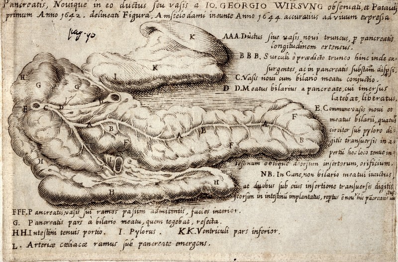 'Bionic Pancreas' Begins Clinical Trials | American Council on Science ...