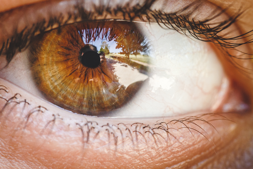 Eye-Opening Discovery Could Help Treat Jet Lag, Night-Shift Workers ...