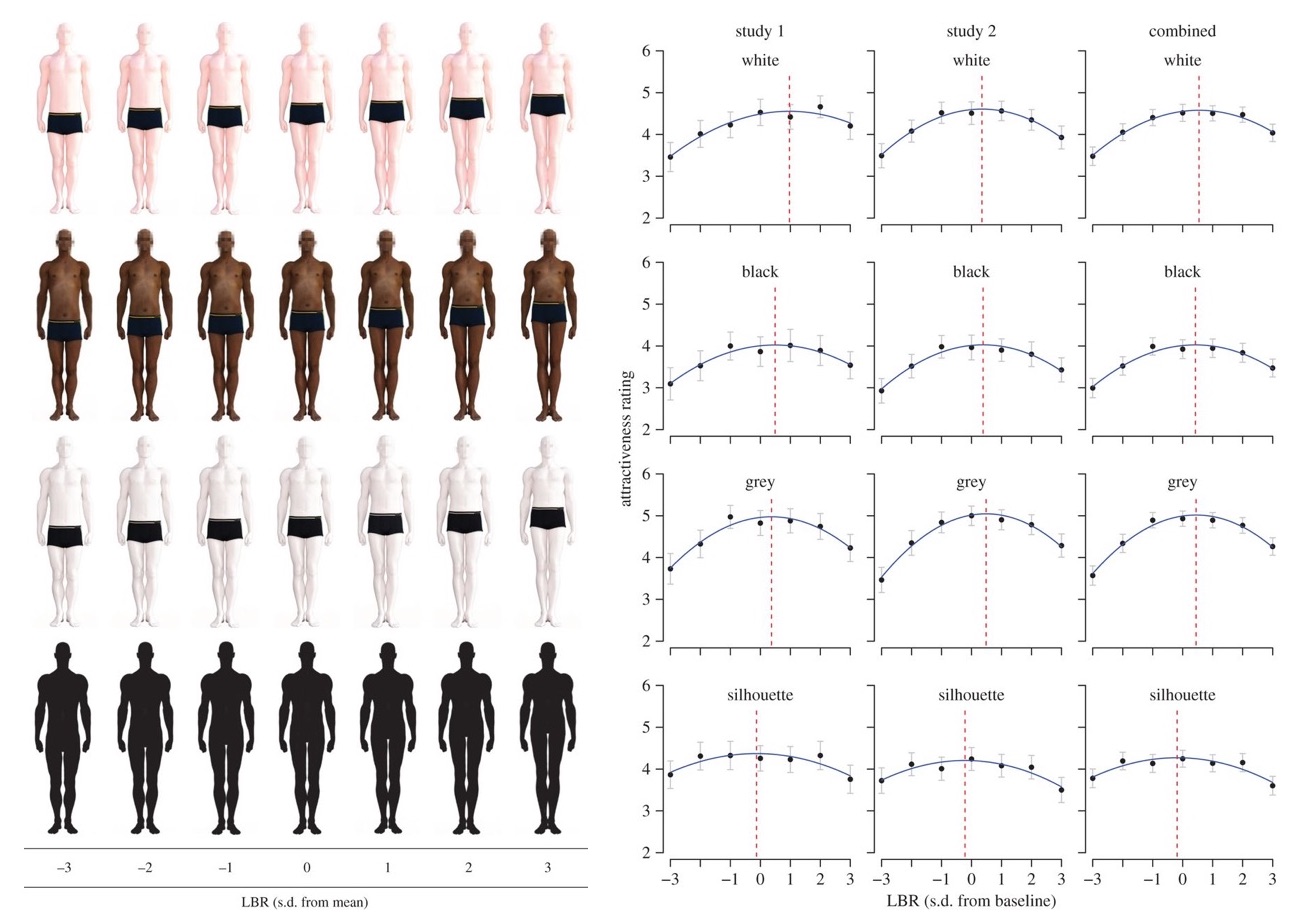 Men With Slightly Longer Legs Are More Attractive To Women American Men With Slightly Longer Legs Are More Attractive To Women American