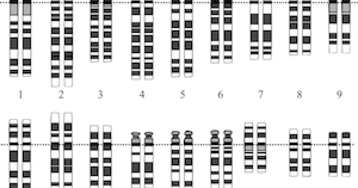 Race & Cancer: We Ignore Genetics at Our Own Peril | American Council ...